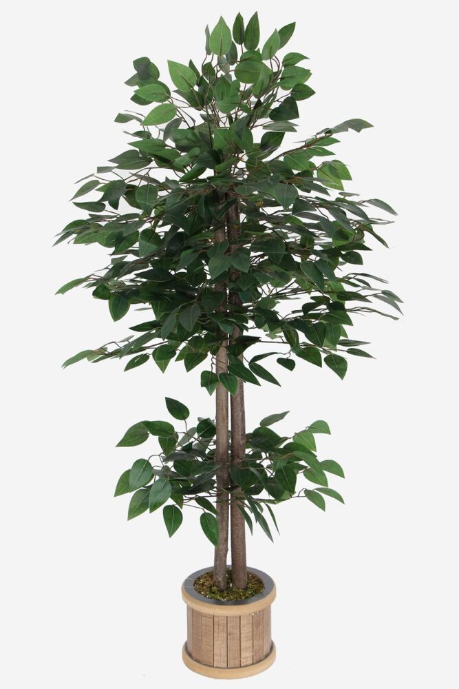 Benjamin-Baum 120 cm extra dichtes Blatt (MIT HOLZTOPF)
