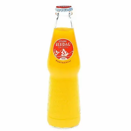 ULUDAG PORTAKAL GAZOZ 250 ML - Çarşı 24 - Avrupa'nın Türk Çarşısı